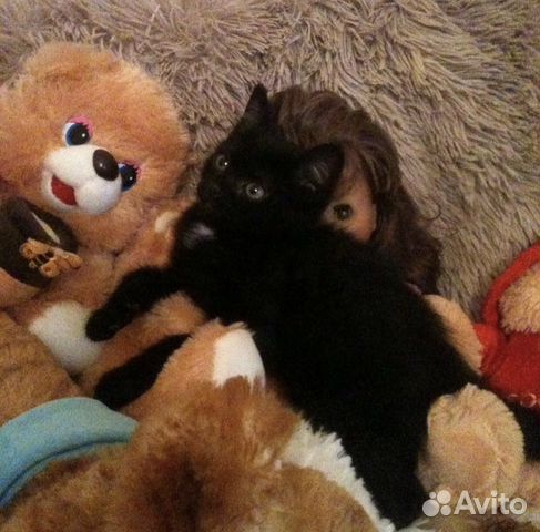 Маленькая кошечка 1,5 месяца