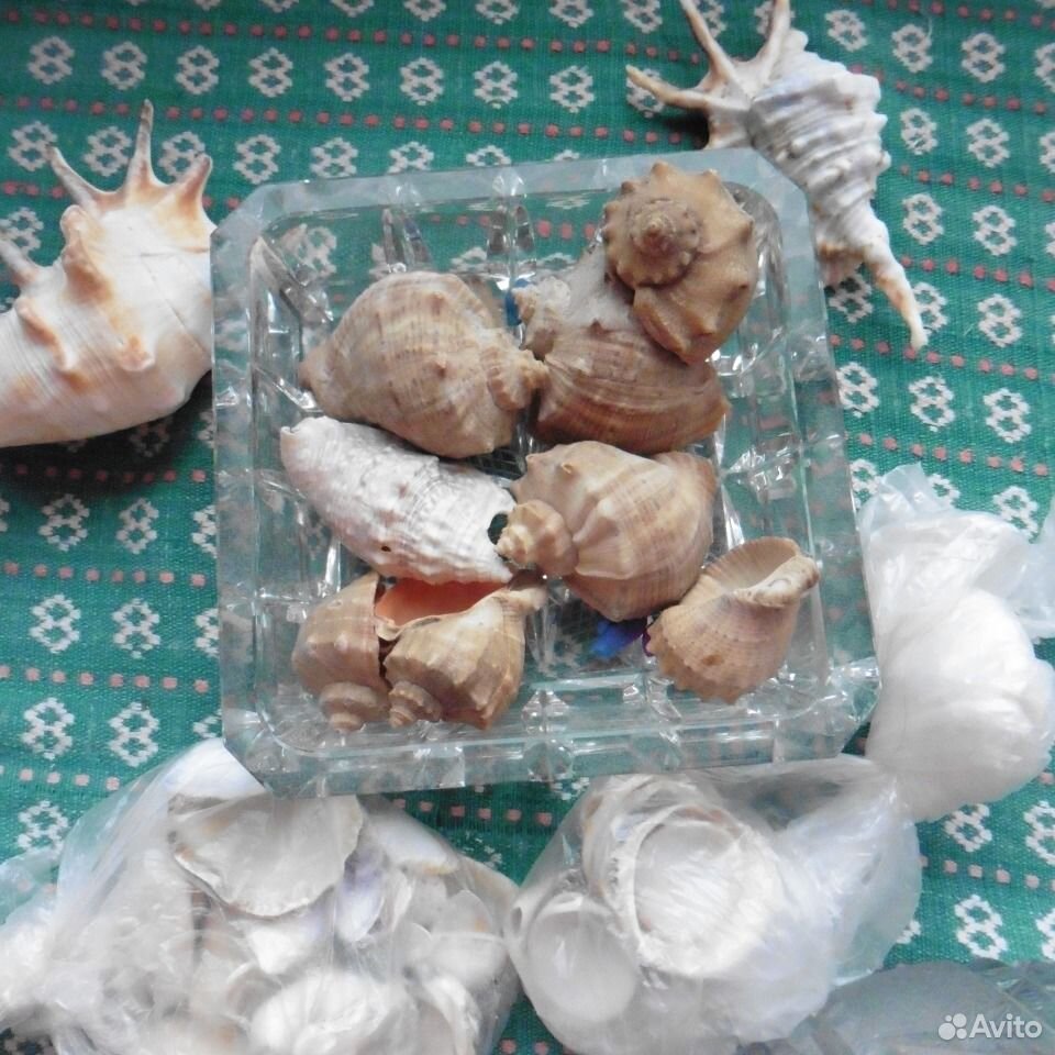 Камни и ракушки для аквариума