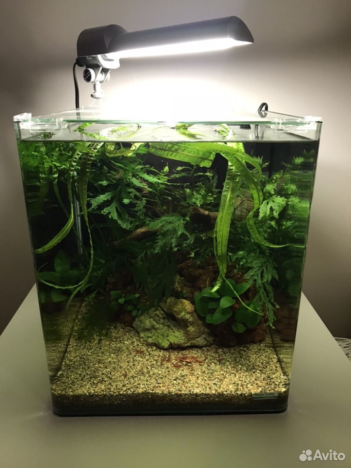 Аквариум