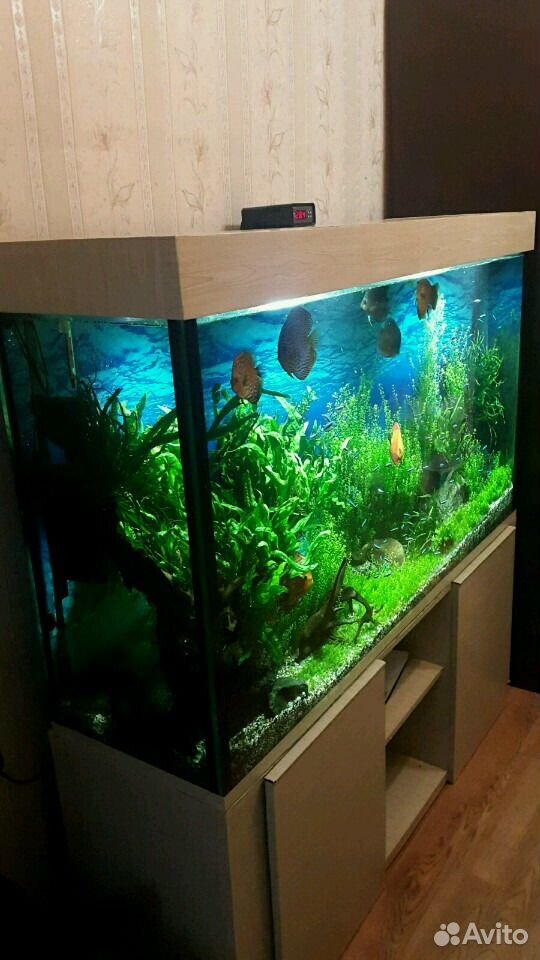 Аквариум 465л