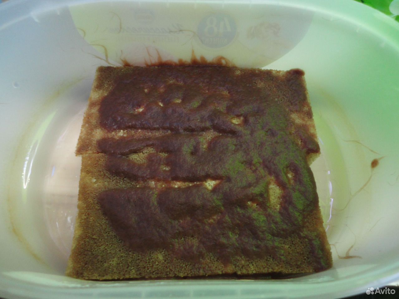 Корма: Аулофорус Гриндаль Нематода Моина Хлорелла