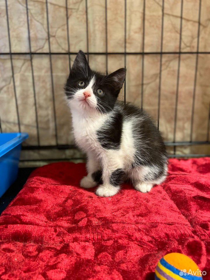 Малышке Бусинке хочется домой