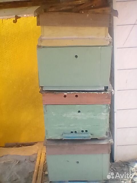 Пчелосемьи