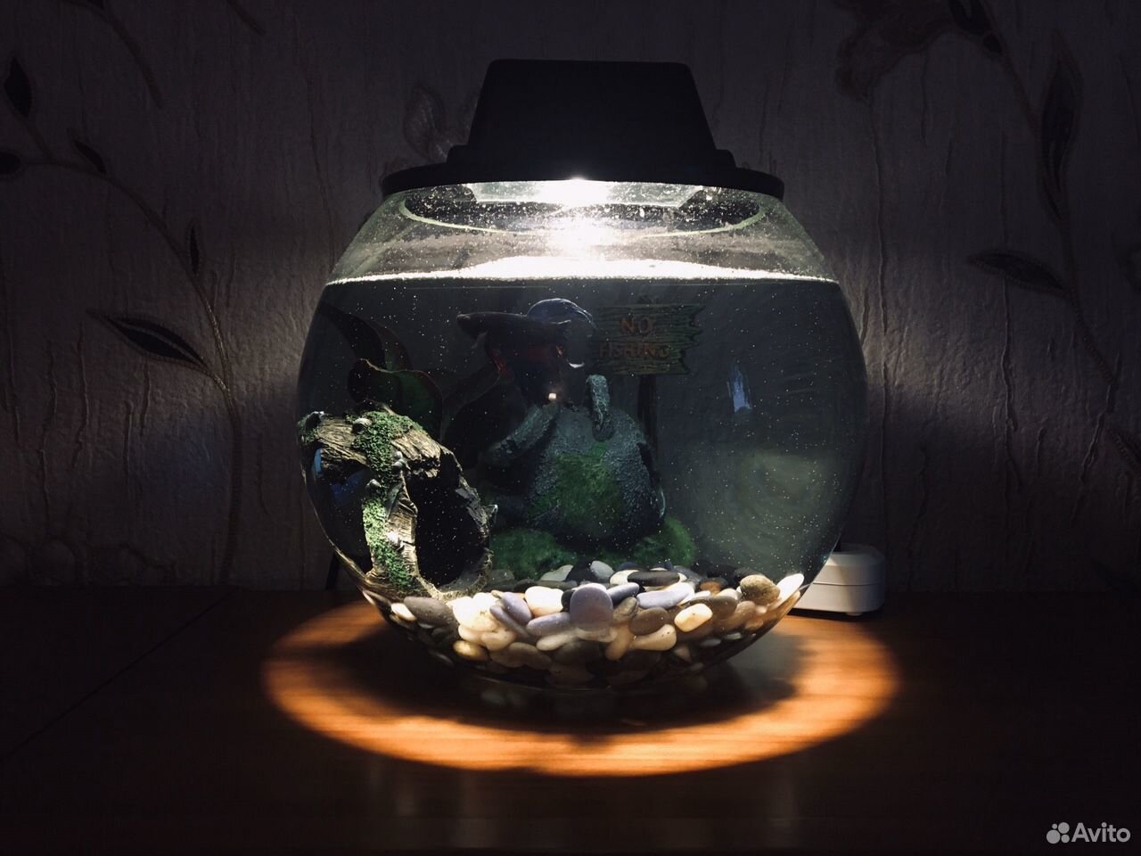 Аквариум 7 литров