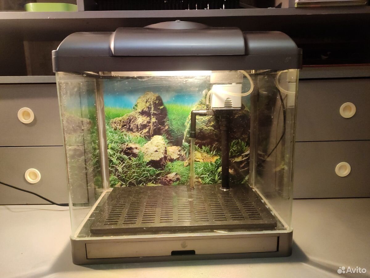 Аквариум