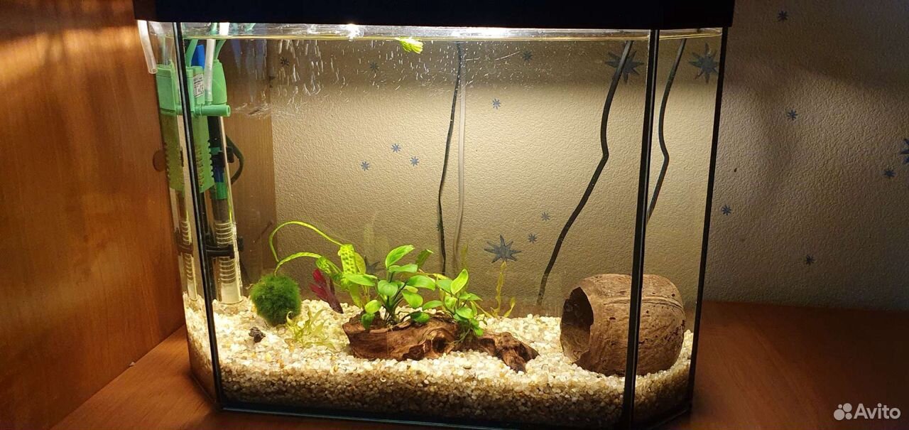 Продам аквариум со всеми принадлежностями