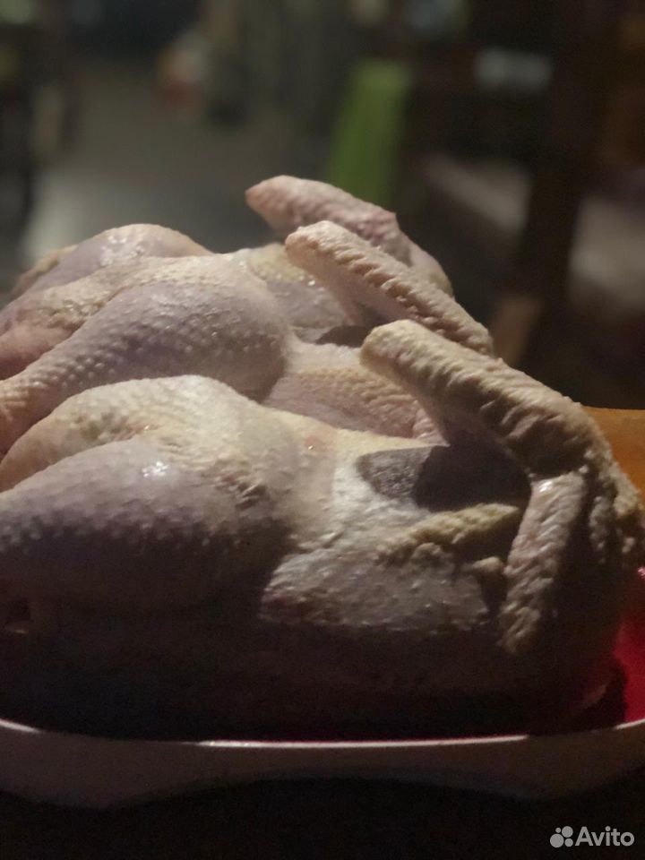 Куры бройлеры мясо