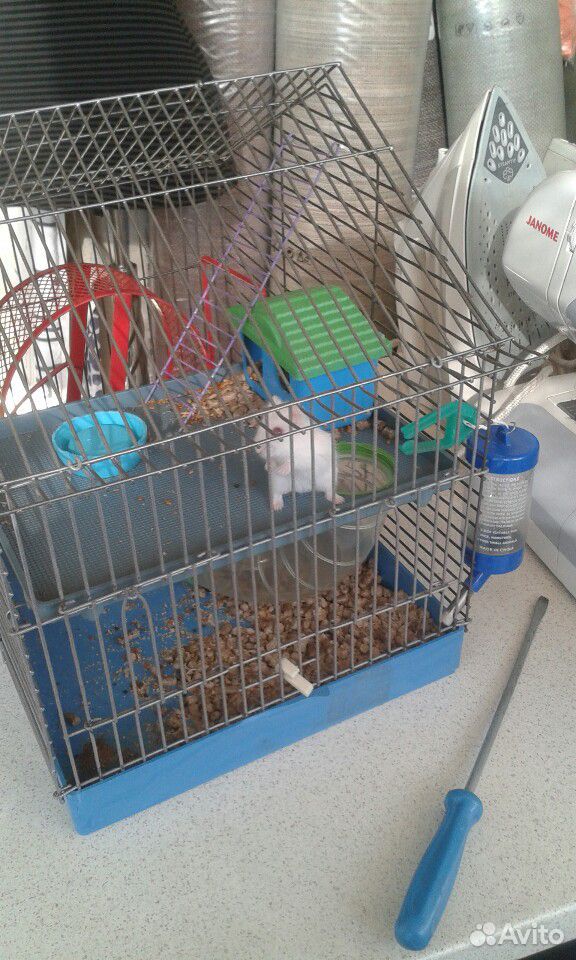 Хомячок вместе с клеткой. Домик. Колесо вращения.П