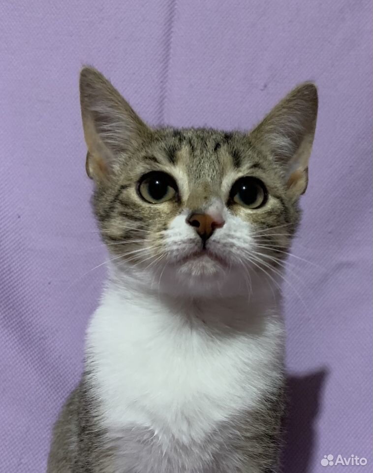 Малыш Савва. 3,5 месяца