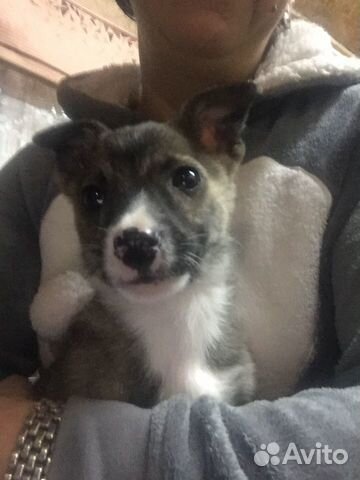 Привет Мама и Папа Я ищу вас