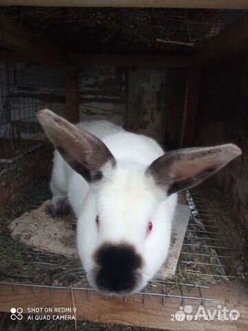 Калифорния