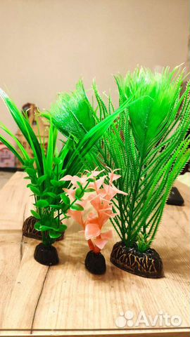 Искусственные растения, фон и грунт