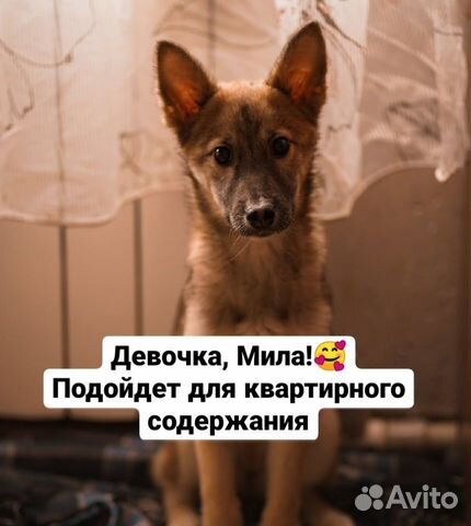 Ласковая малышка