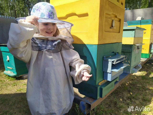 Продам пчелосемьи