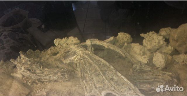 Аквариум 470л