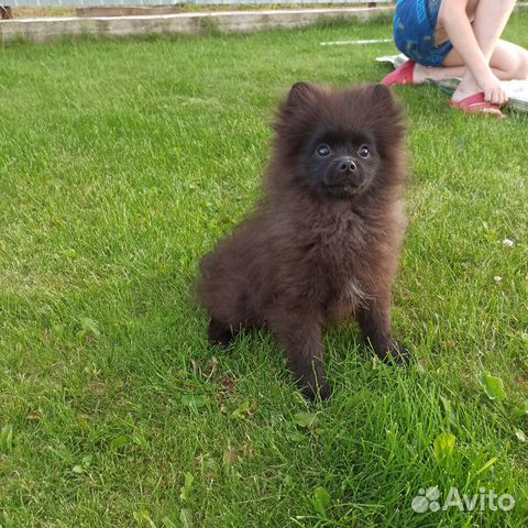 Черный уголек