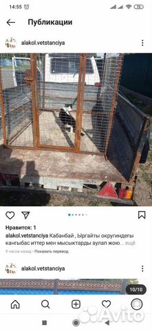 Через пару дней нас мучительно убьют