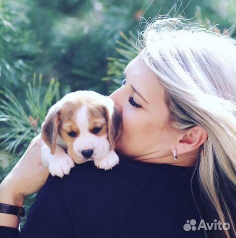 Биглята малыши