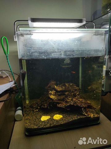 Аквариум нанокуб dennerle