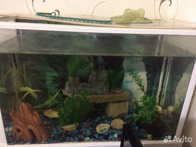 Аквариум с рыбками