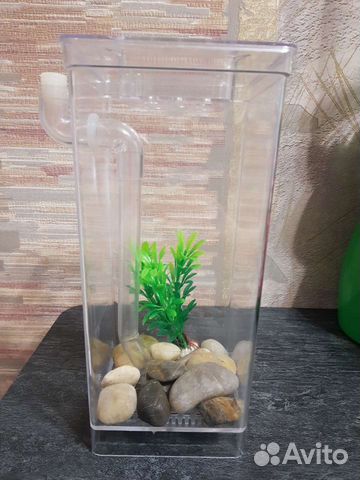 Самоочищающийся аквариум