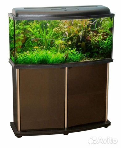Аквариумы 126 л, 150 л с тумбами и крышками новые