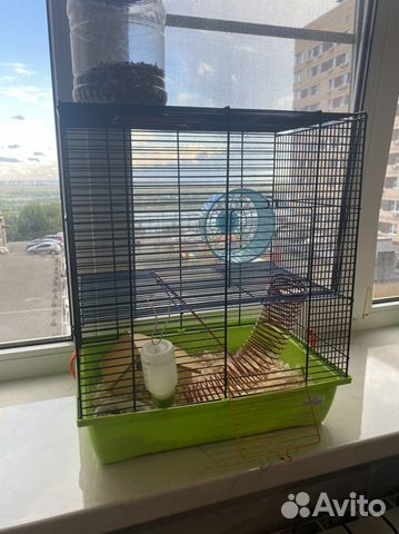 Клетка с хомяком
