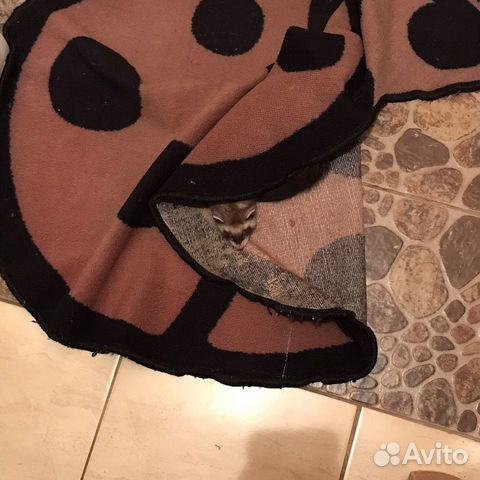 Хорек с клеткой