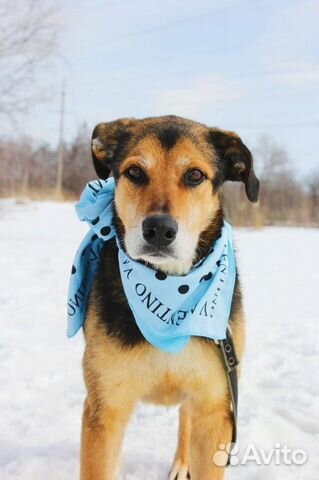 Стелла ждет тебя