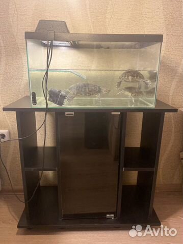 Продам аквариуи и 3 красноухие черепашки