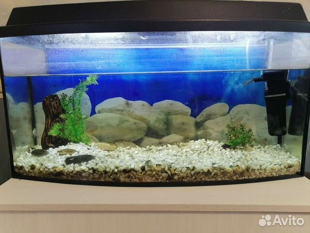 Аквариум 100 литров