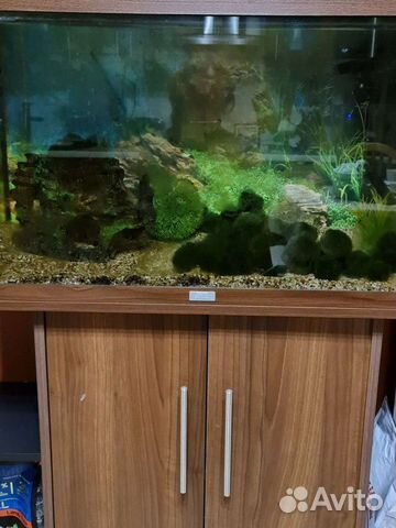 Аквариум Juwel 120л с тумбой