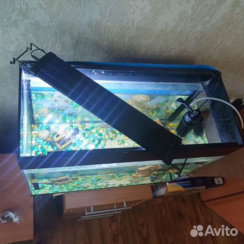 Аквариум в хорошие руки