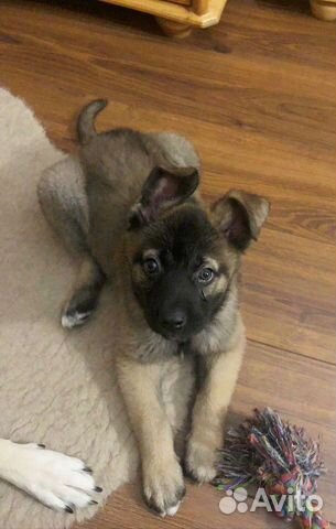 Красотке очень нужен дом