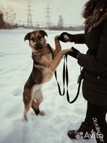 Малышке Бруснике с каждым днем все тяжелее в приют
