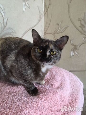 Шикарная Бурма