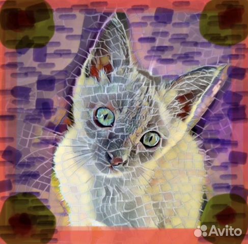 Котята тонк тай