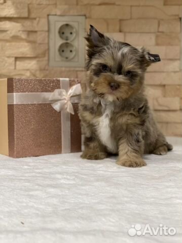 Очень ласковый малыш