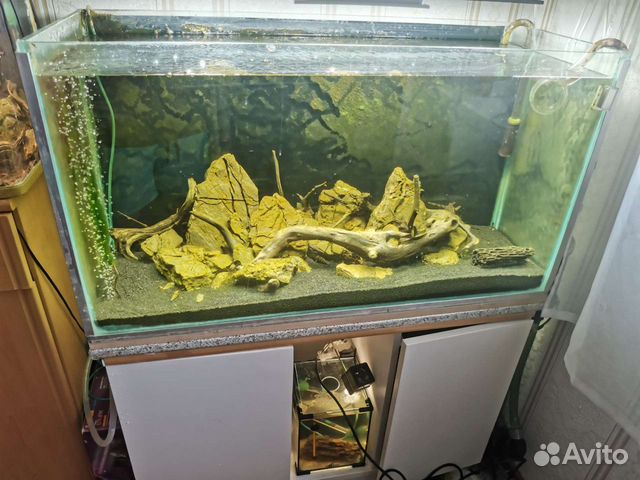 Аквариум