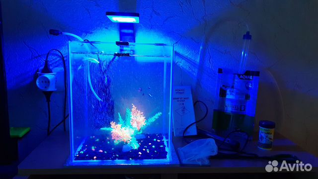Аквариум Акваэль 19л с рыбками
