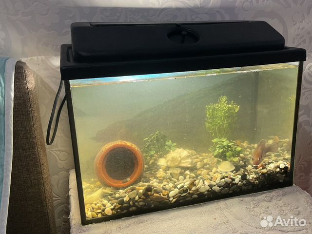 Аквариум 20л с рыбкой, приспособлениями и кормом