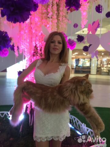 Красной солид 11кг., вязка