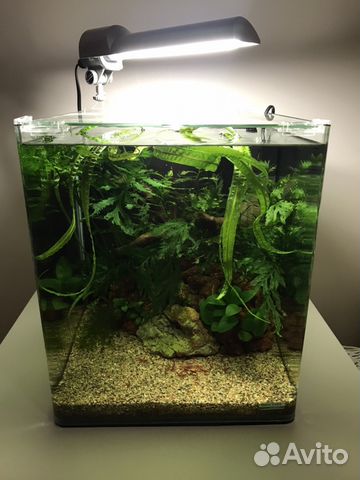 Аквариум