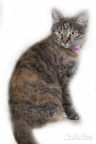 Продолжите «цепочку добра»