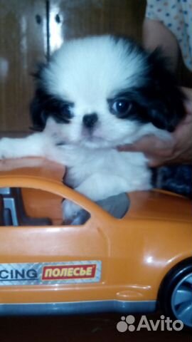 Лучшим родителям