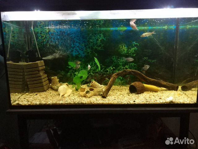 Аквариум 220л