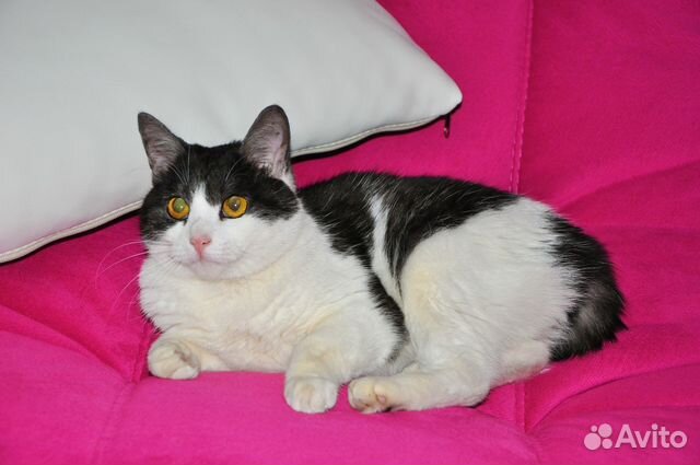 Безумно красивая девчуля в ответственные руки