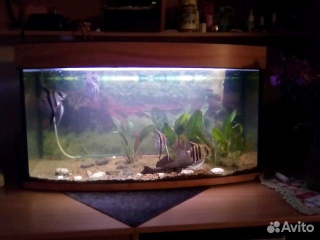 Аквариум 90 л