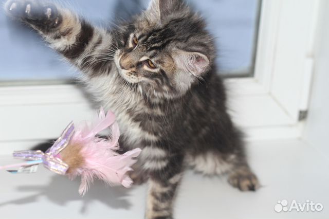 Красавица девчонка- Черный мрамор