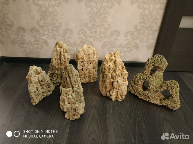 Камни, песчанник, туф